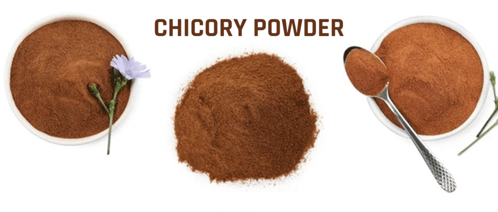 Chicory Powder - Instant Chicory Powder Manufacturer From India