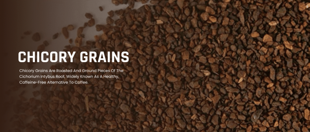 Chicory Grain Exporter | Chicory Beans Manufacturer India - Vashila ...